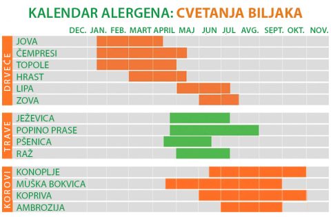 Polen i kalendar cvetanja biljaka - alergeni po mesecima