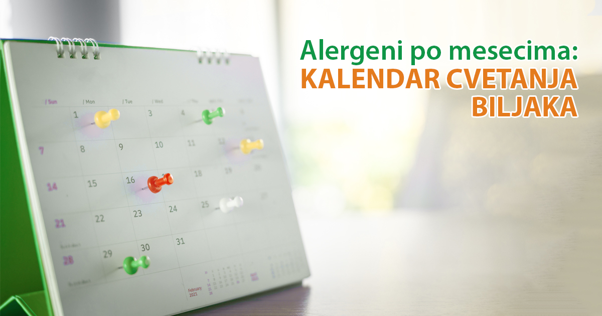 Polen i kalendar cvetanja biljaka - alergeni po mesecima